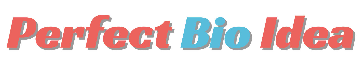Perfect Bio Idea – Instagram Bio Ideas for Boys & Girls